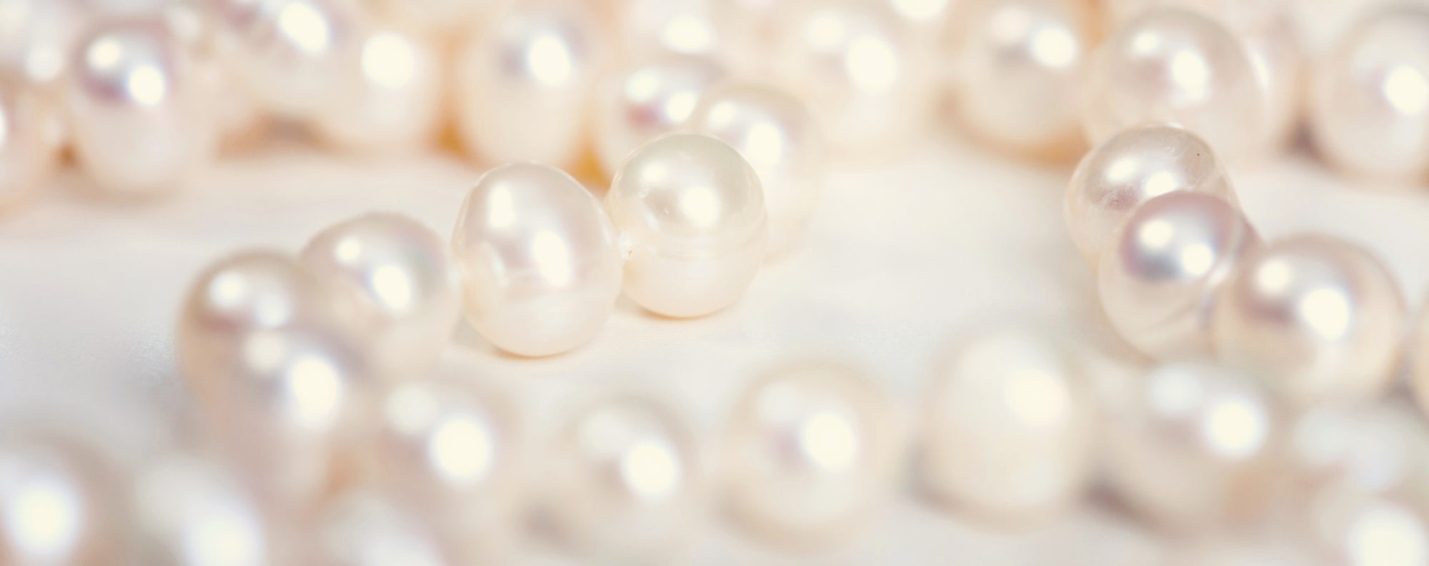 Sullivan & Sweet Jewelry Co LLC – Sullivan & Sweet Jewelry Co LLC